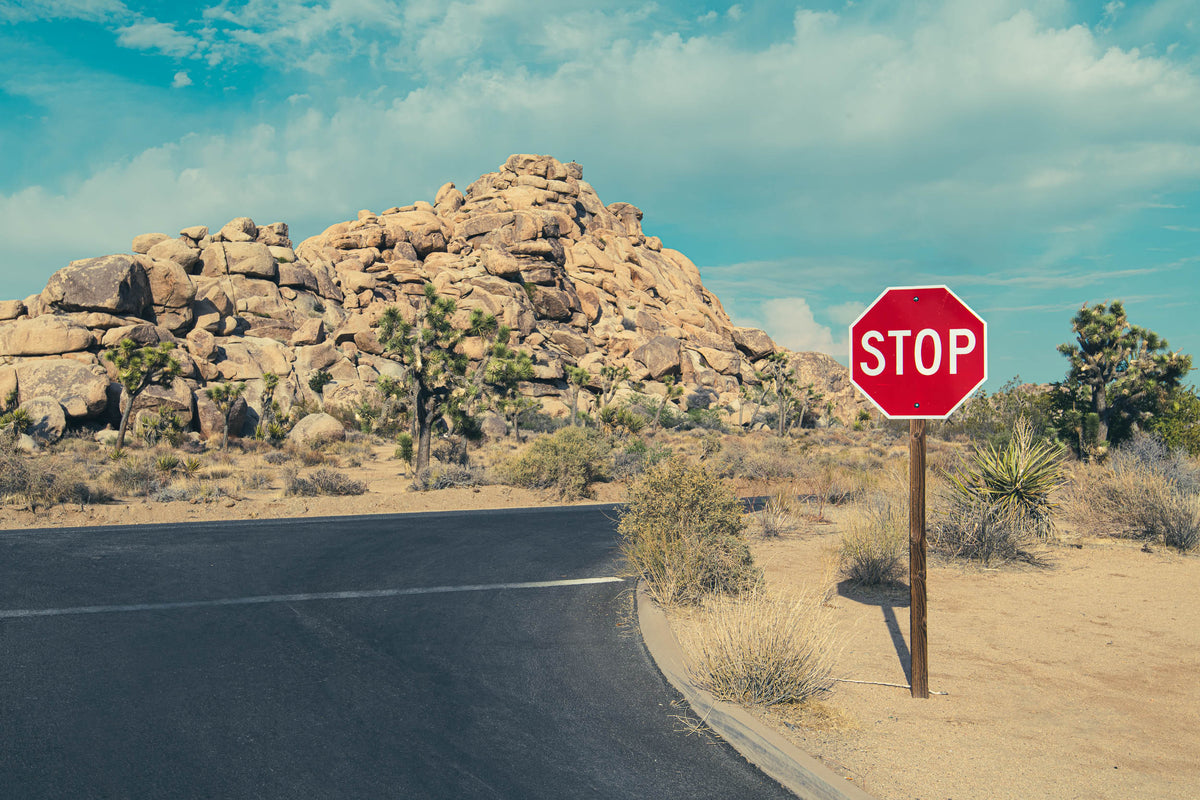 Basics of Shooting Landscape Photography | Korbin Bielski Fine Art